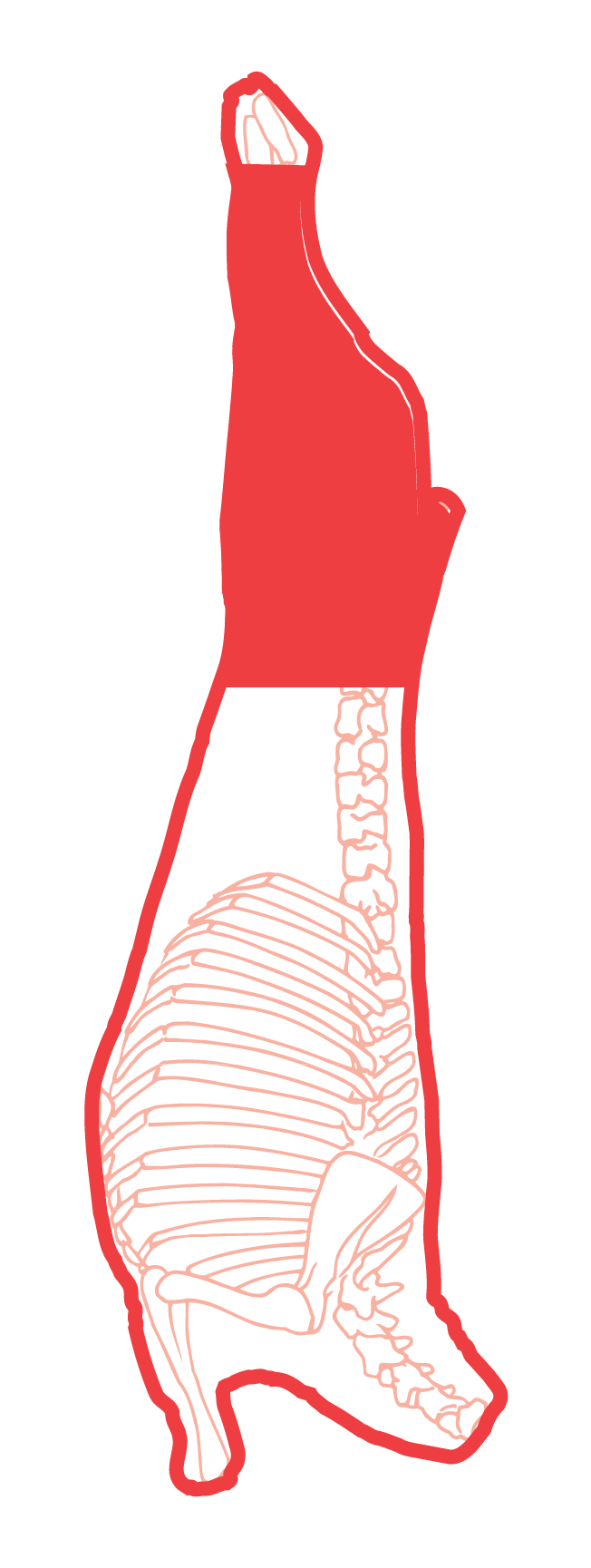 Product Catalogue | Affco New Zealand