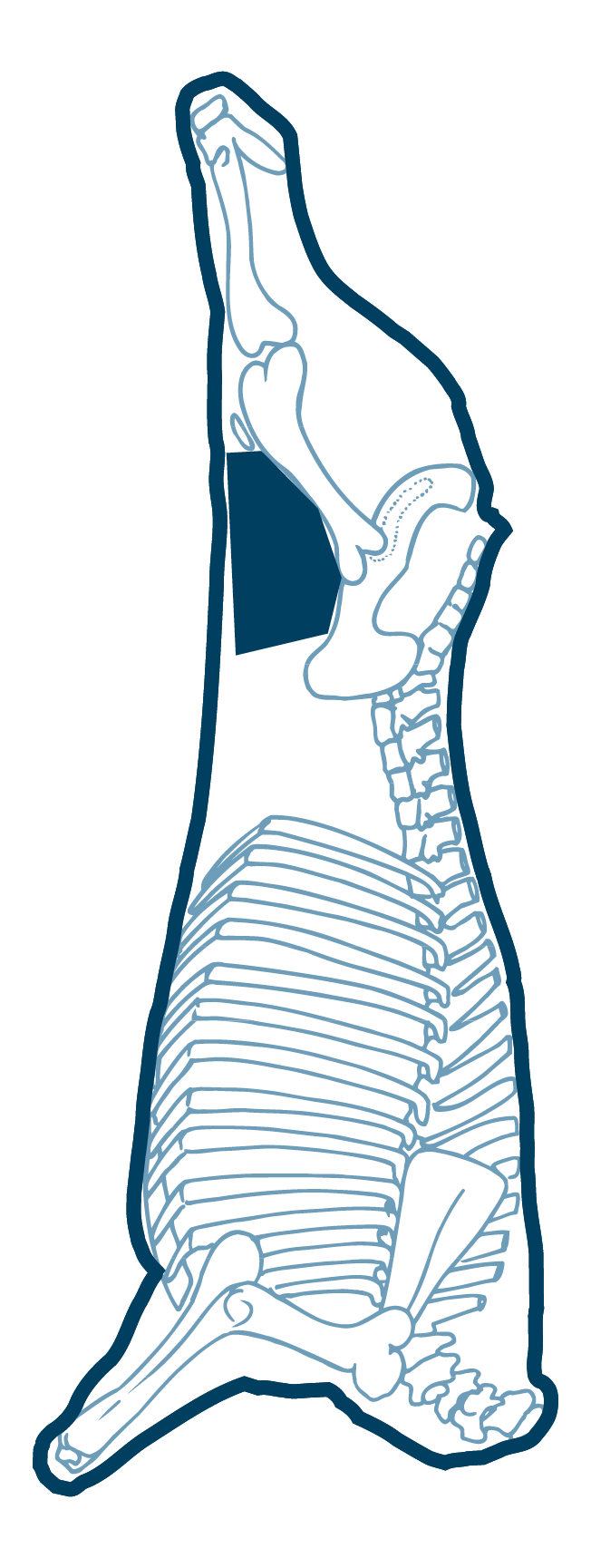 Product Catalogue | Affco New Zealand