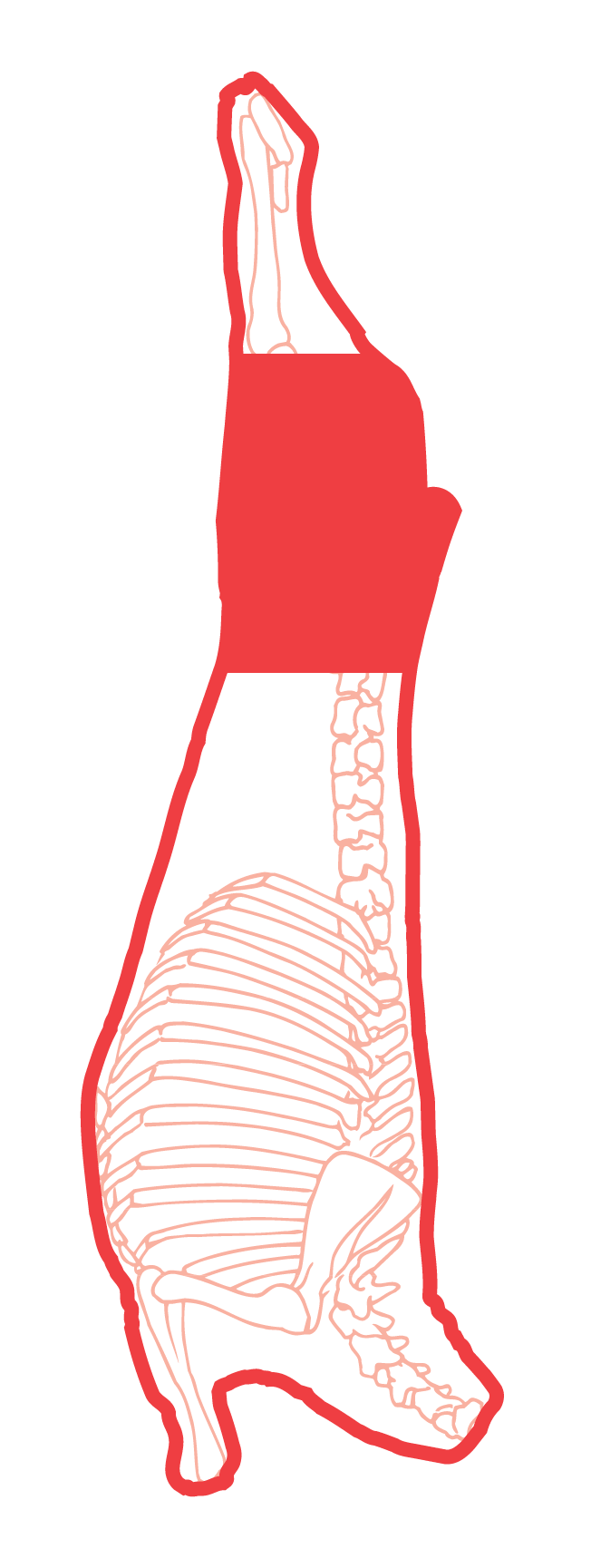 Product Catalogue | Affco New Zealand