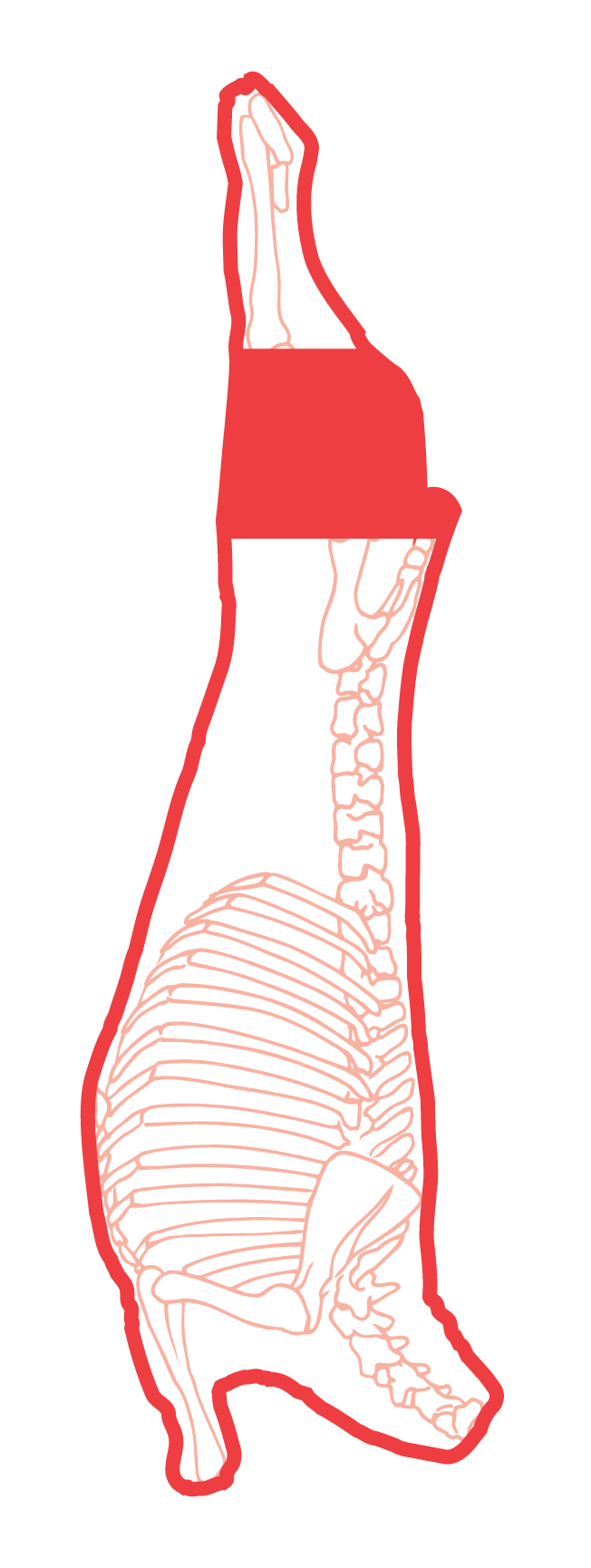Product Catalogue | Affco New Zealand